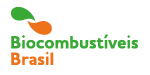 Biofuels-logo-150х75-PT - SynGas Russia